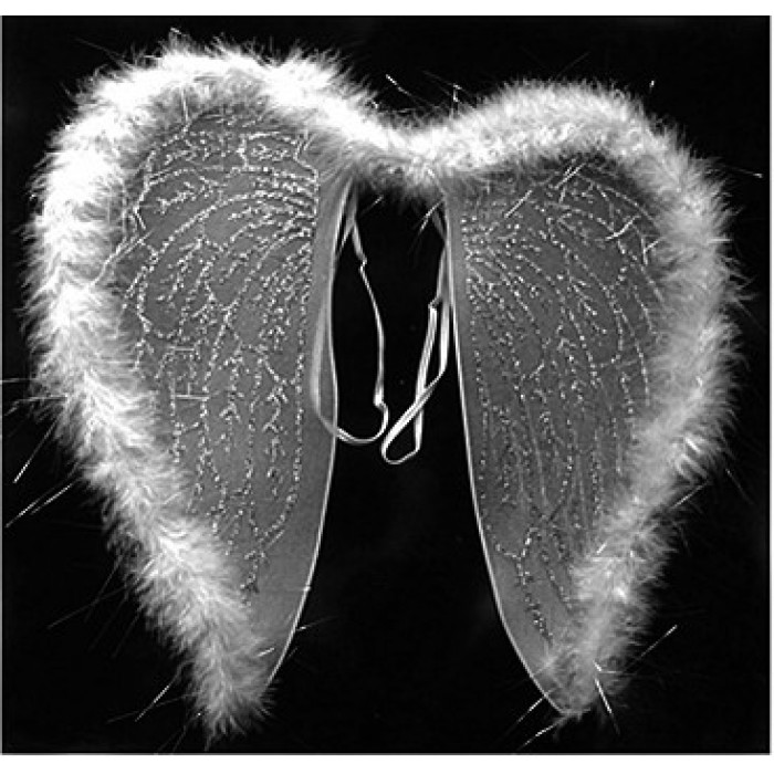 CT1053M-16" ANGEL WING